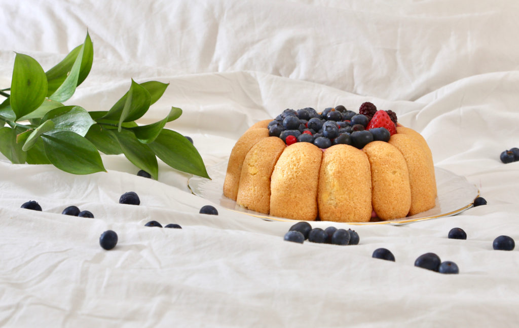 Charlotte aux fruits rouges - El gato de Alma