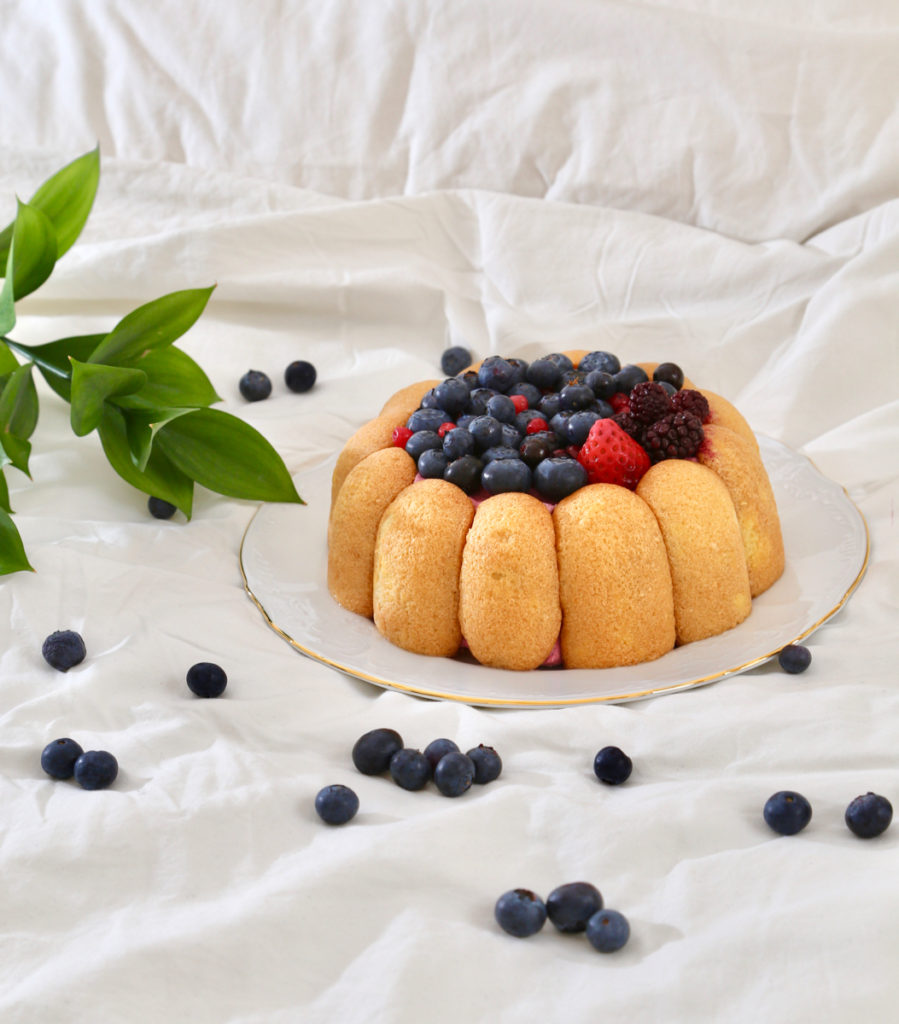 Charlotte aux fruits rouges - El gato de Alma