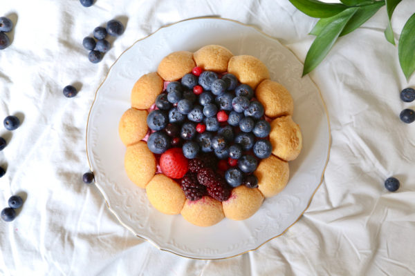 Charlotte aux fruits rouges - El gato de Alma