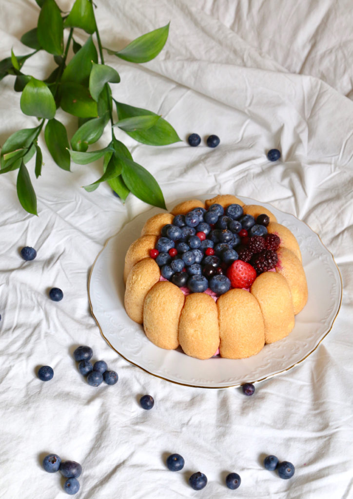 Charlotte aux fruits rouges - El gato de Alma